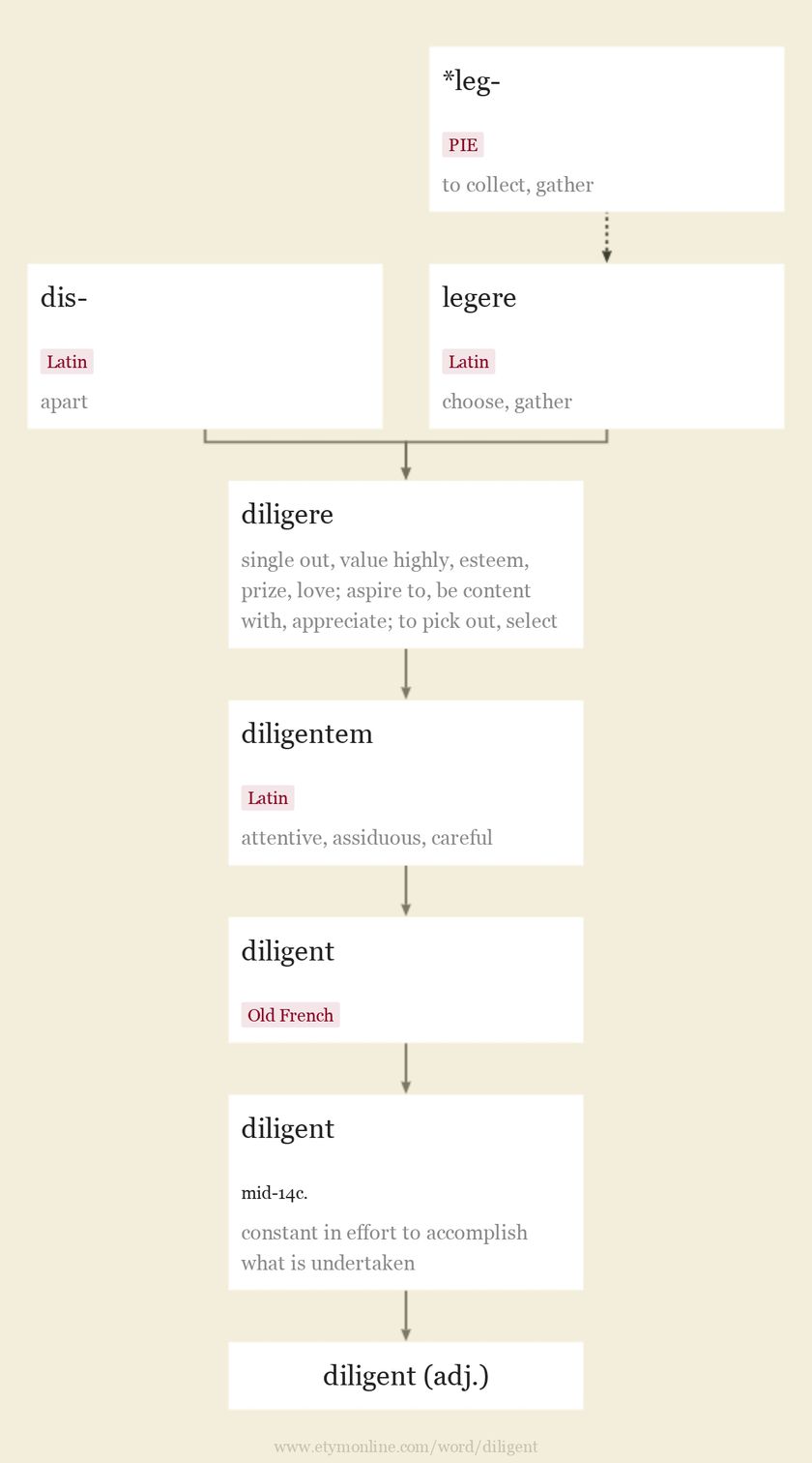 Etymology of "diligent" by etymonline